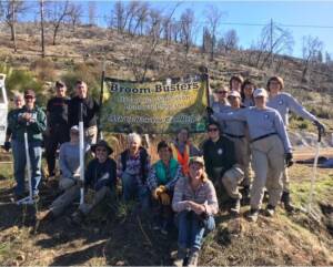 Firewise Communities – Lake County Fire Safe Council