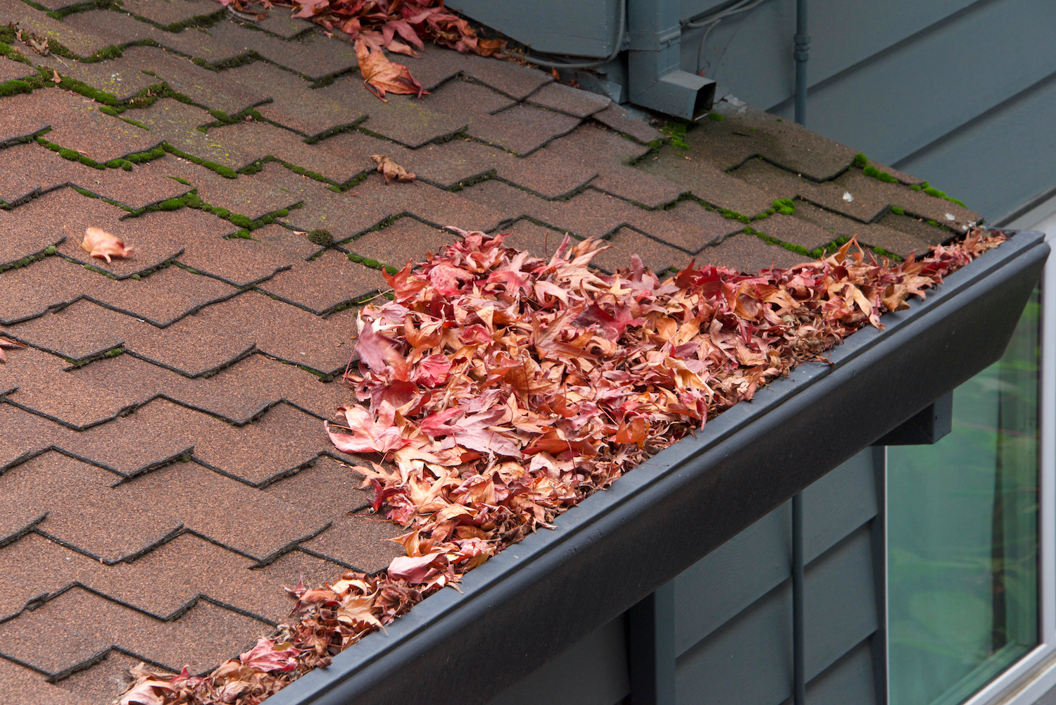 Gutters – Lake County Fire Safe Council
